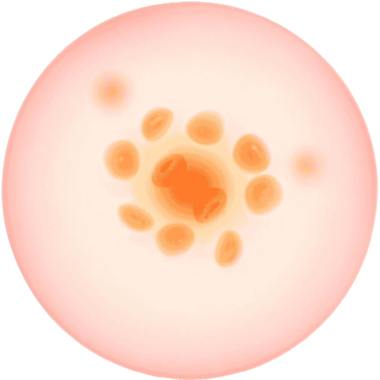 Publications | Project Opera